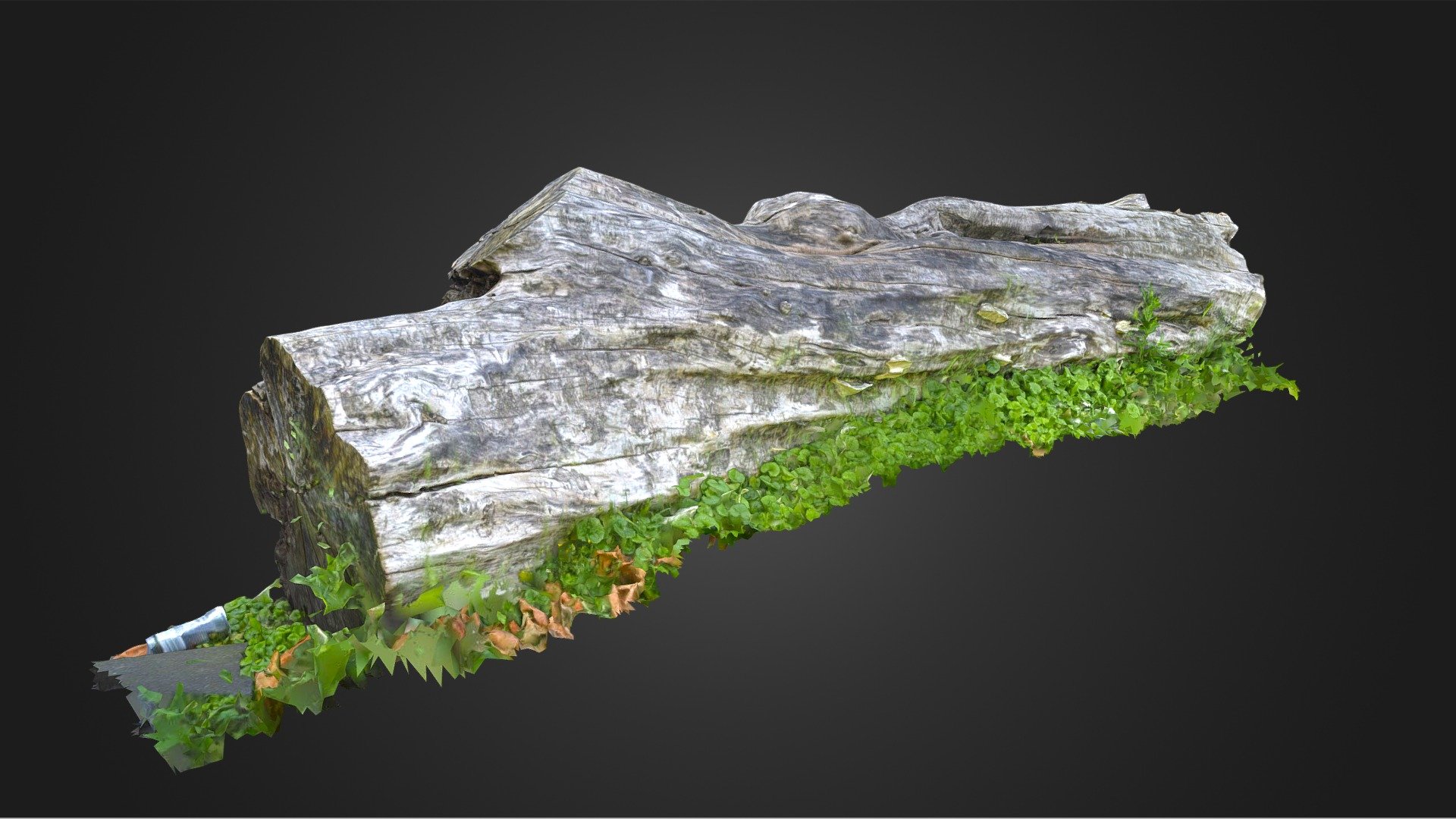 Detailed Tree Trunk In Grass + vegitation Scan 2 - Download Free 3D ...