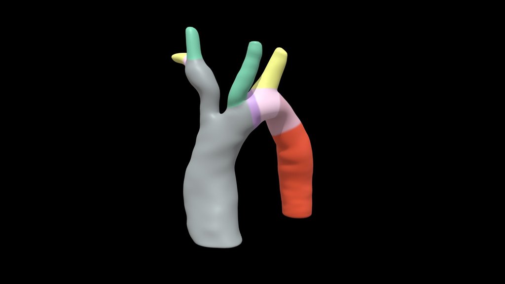 embryology - A 3D model collection by rllllinn - Sketchfab