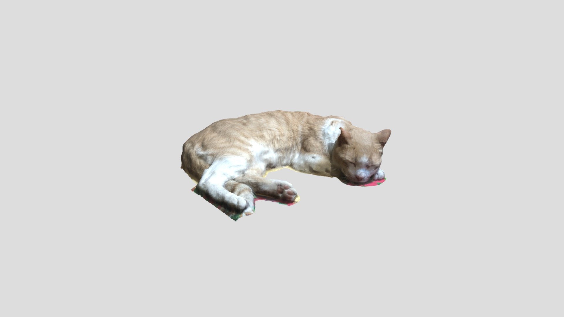 Gato - Download Free 3D model by ludmilagarriga (@ludmilagarriga33 ...