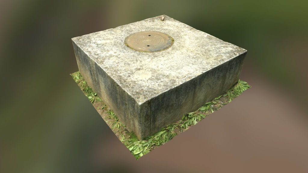 Canal Cover - Download Free 3D model by 3dhdscan [461996e] - Sketchfab