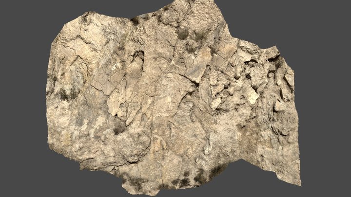 Springs 3D models - Sketchfab