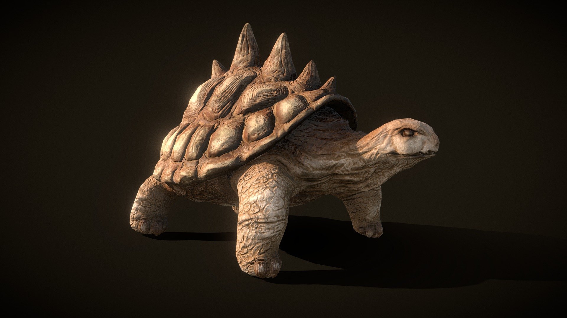 Sand Turtle Animated - Buy Royalty Free 3D model by Karolina Renkiewicz ...