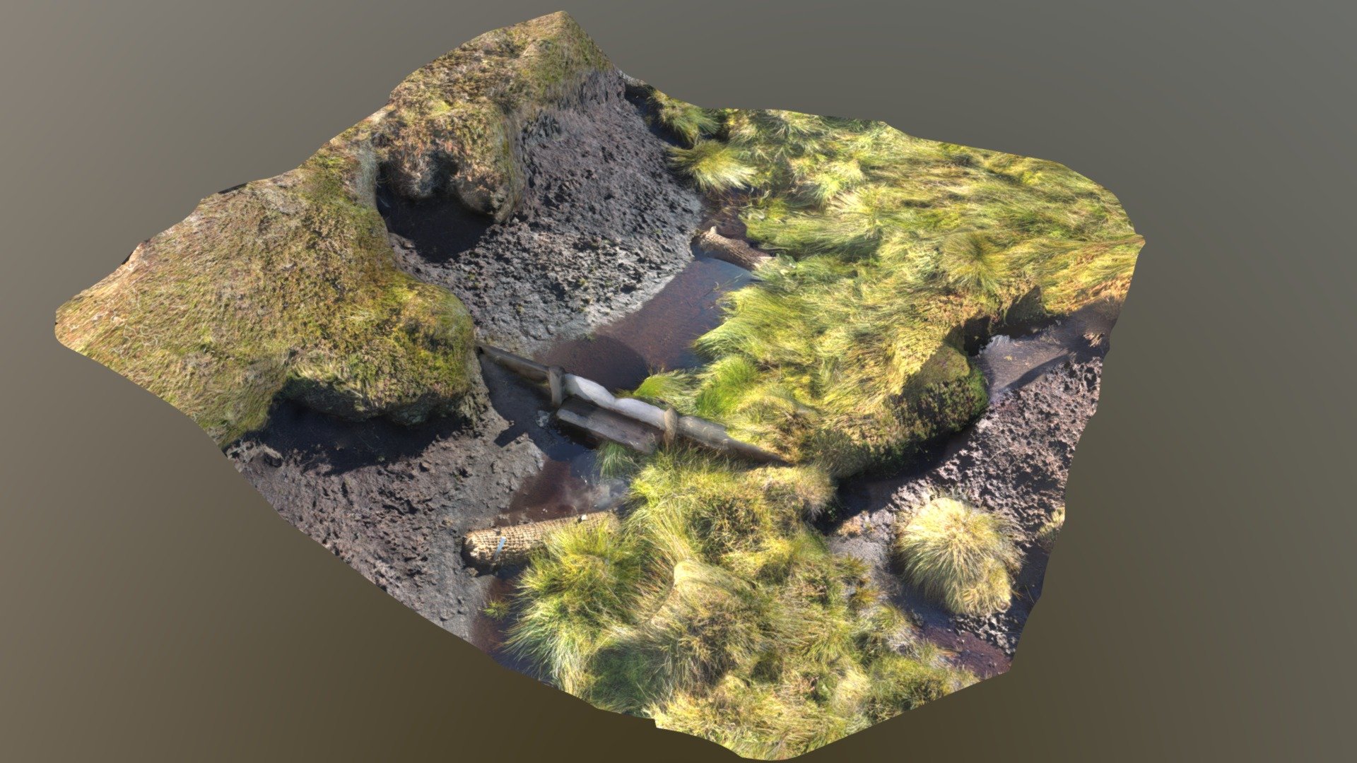 Peatland Timber Dam - Download Free 3D model by ...