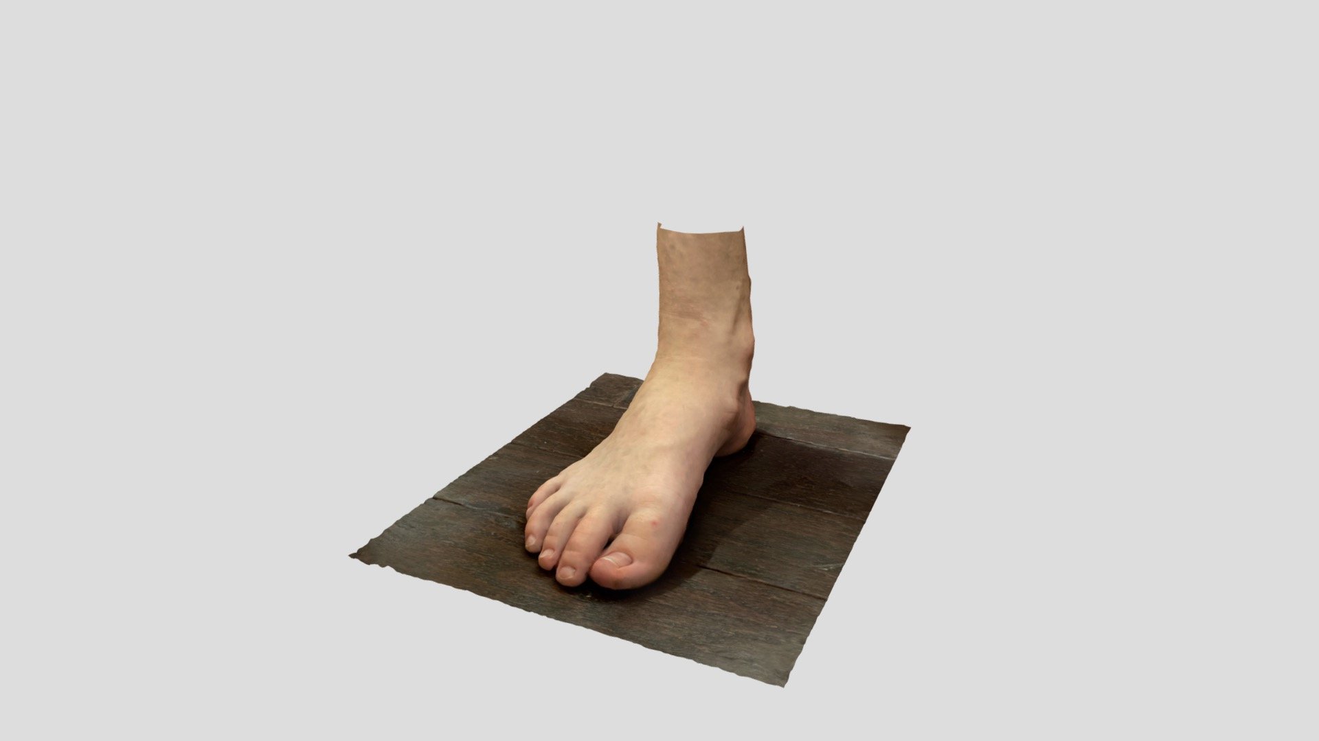 Right foot scan for custom figure skates - 3D model by Marc Sawyer ...