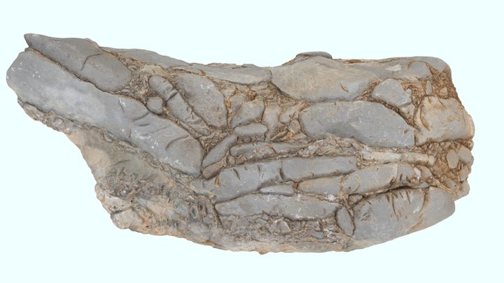 Rudite 3D models - Sketchfab
