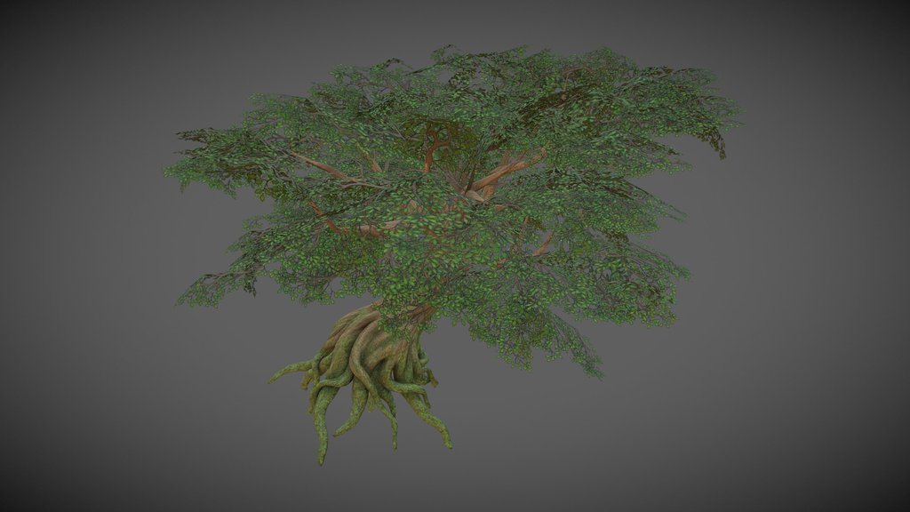 jungle - A 3D model collection by chrisgreene022 - Sketchfab