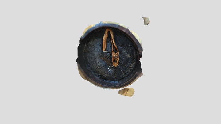Lumbricus 3D models - Sketchfab
