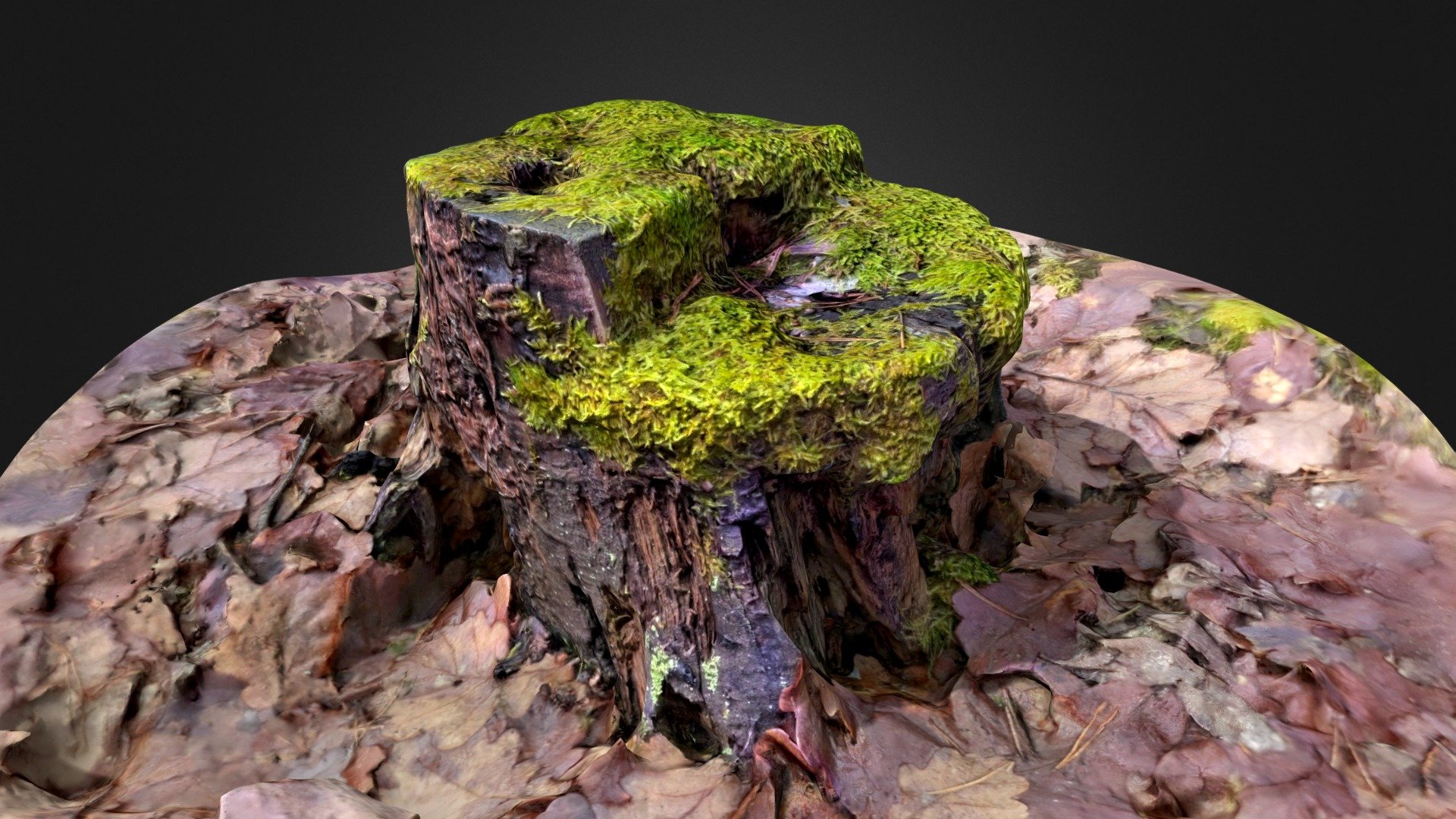 Tree trunk with moss and ground - Download Free 3D model by ZiemniaQ ...
