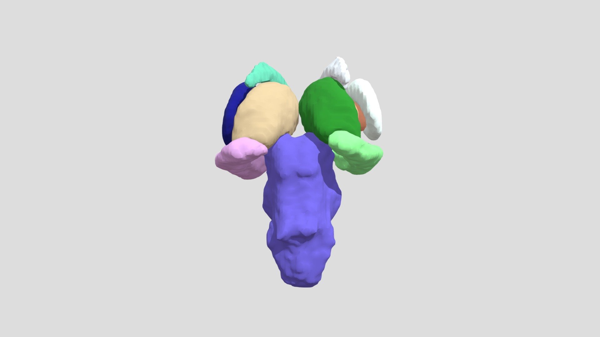 Human Brain Subcortical Gray Matter - 3D model by jjtanner [463756b ...