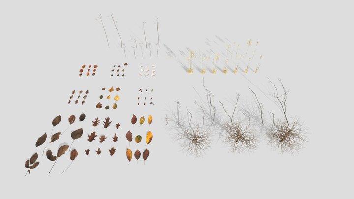 Twigs 3D models - Sketchfab