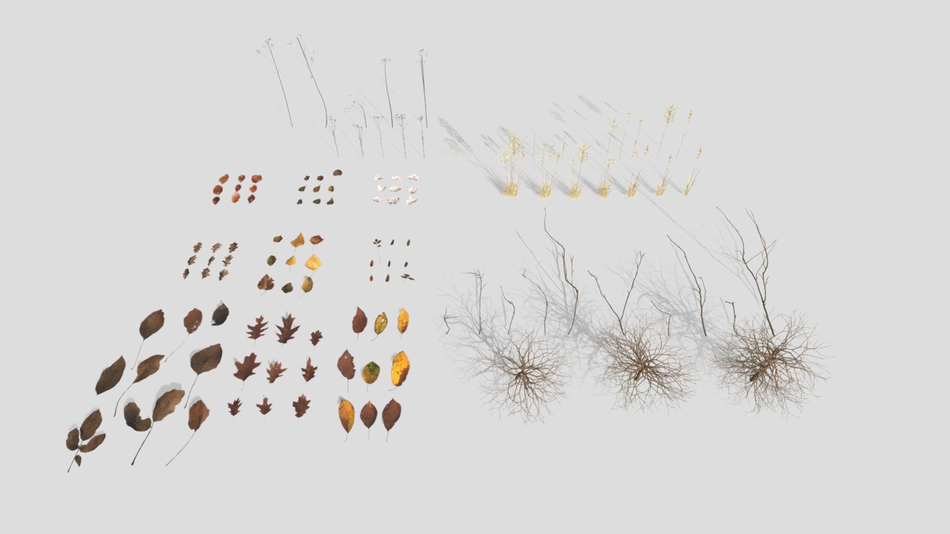 Dry Plants Pack - Buy Royalty Free 3D model by kambur [463f3fd ...