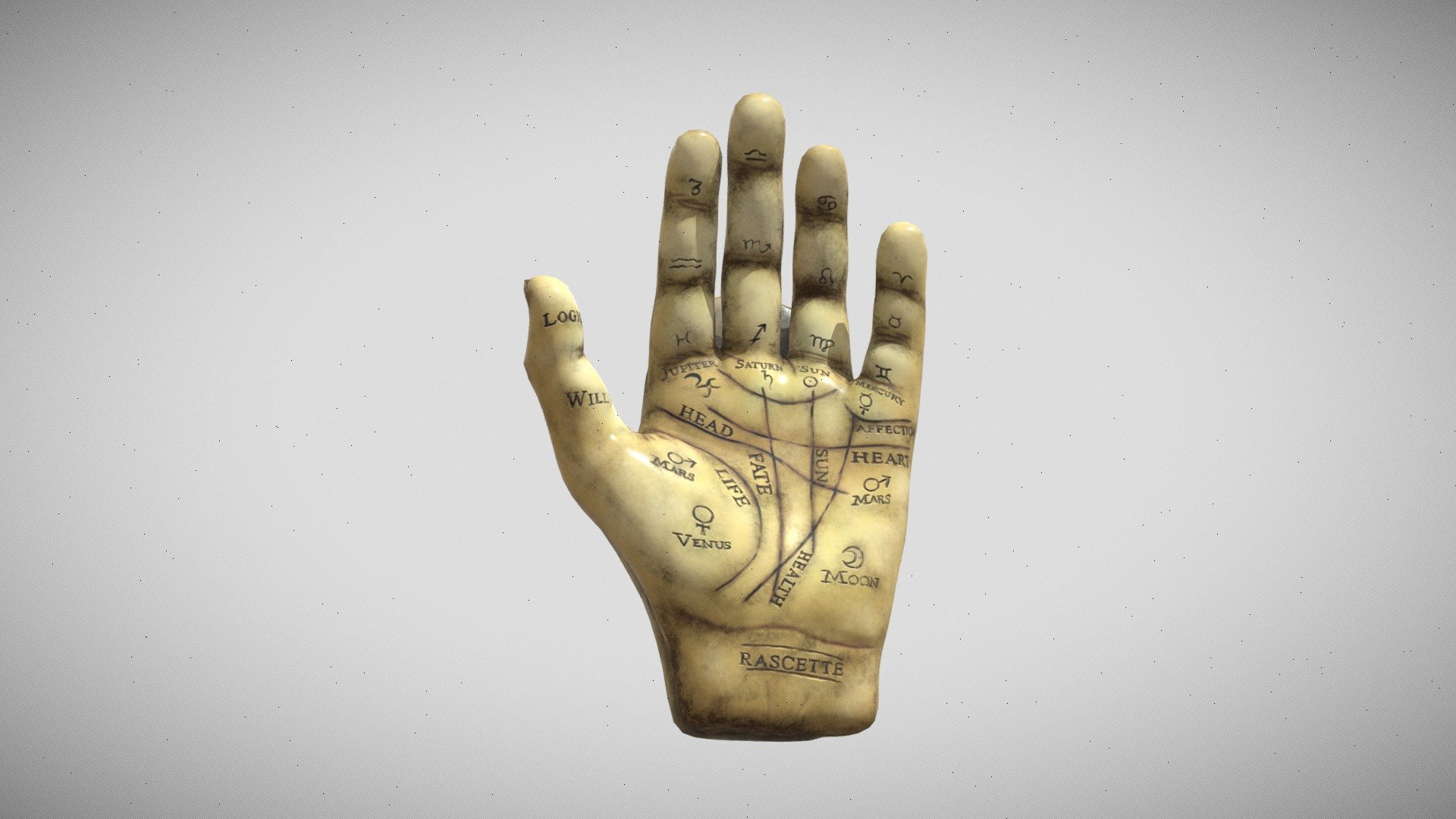 Palmistry Hand - 3D model by Hauntburg [463f7bf] - Sketchfab