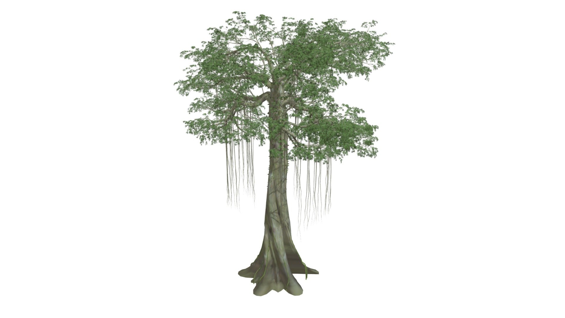 Kapok Tree #01 - Buy Royalty Free 3D model by meshshape [4642f02 ...