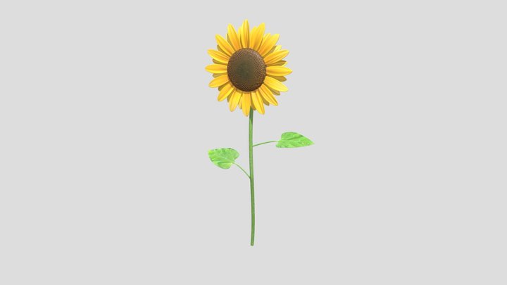 Sunflower 3D models - Sketchfab