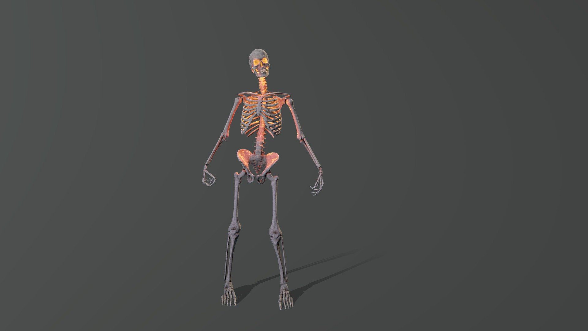Monsters - Skeleton - 3D model by polygonmaker [464d0f8] - Sketchfab