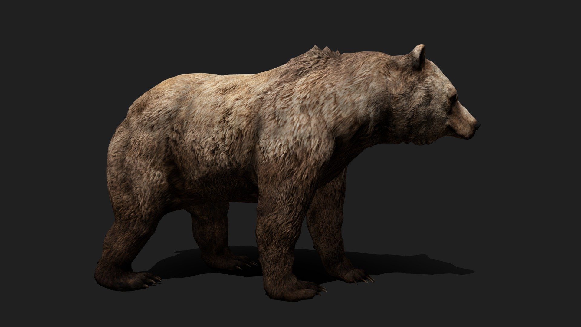Realistic Animated Bear 3D Model - 3D model by WildMesh 3D (@WildMesh ...