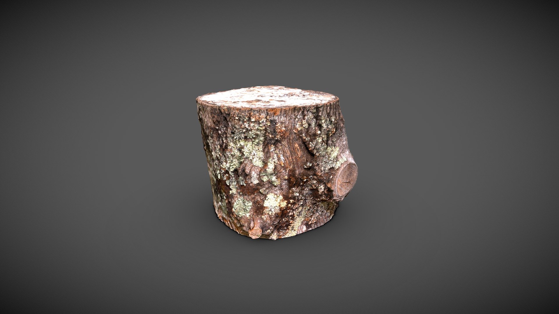 Stump3D - 3D model by AurlC (@waleguene) [464e82a] - Sketchfab