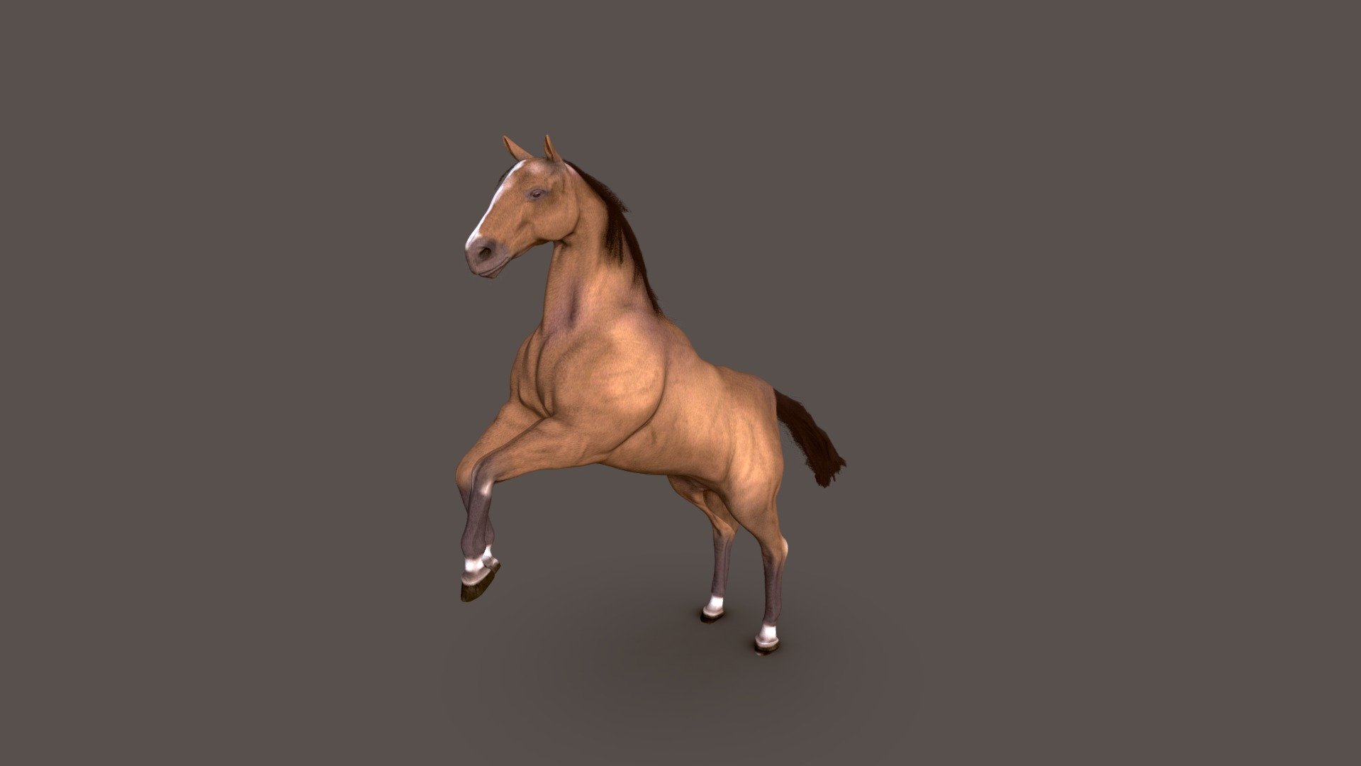 Horse Med Poly - 3D model by SwissCH [464f649] - Sketchfab