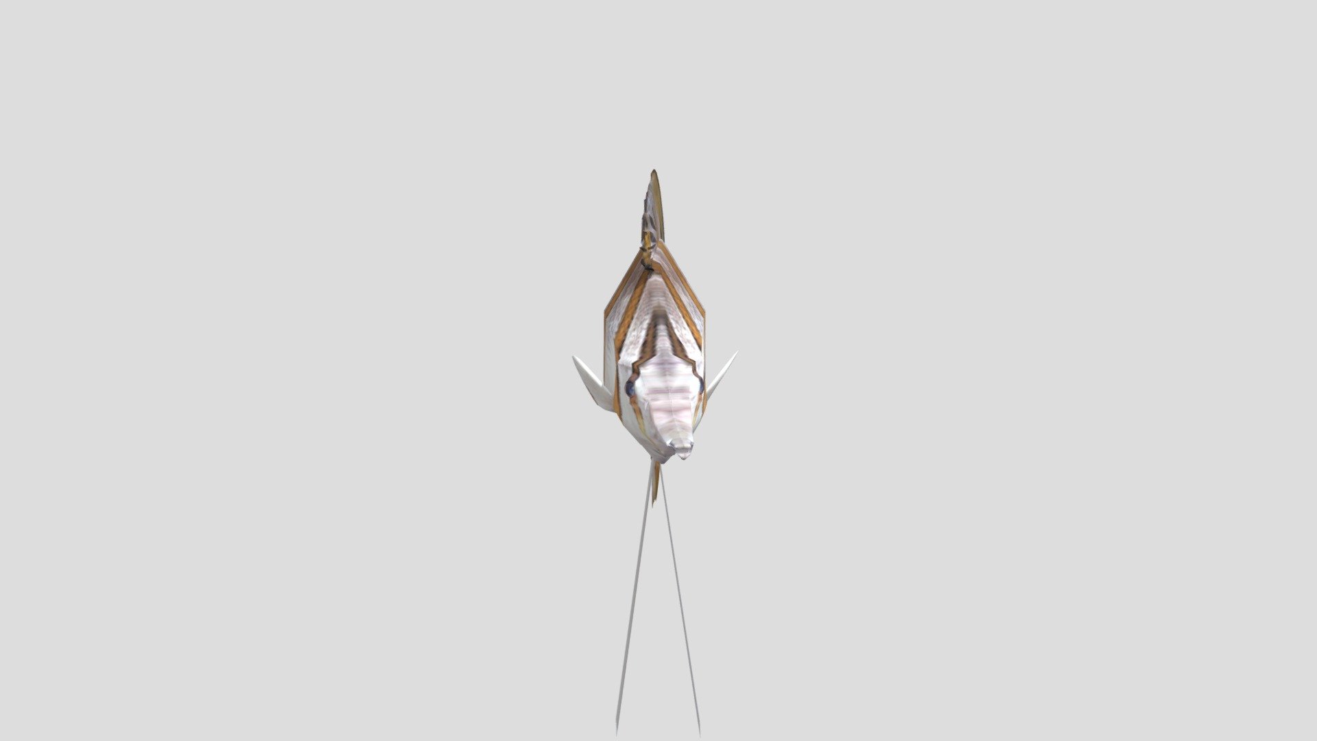 Beak Coralfish - 3D model by god20663 [4650128] - Sketchfab