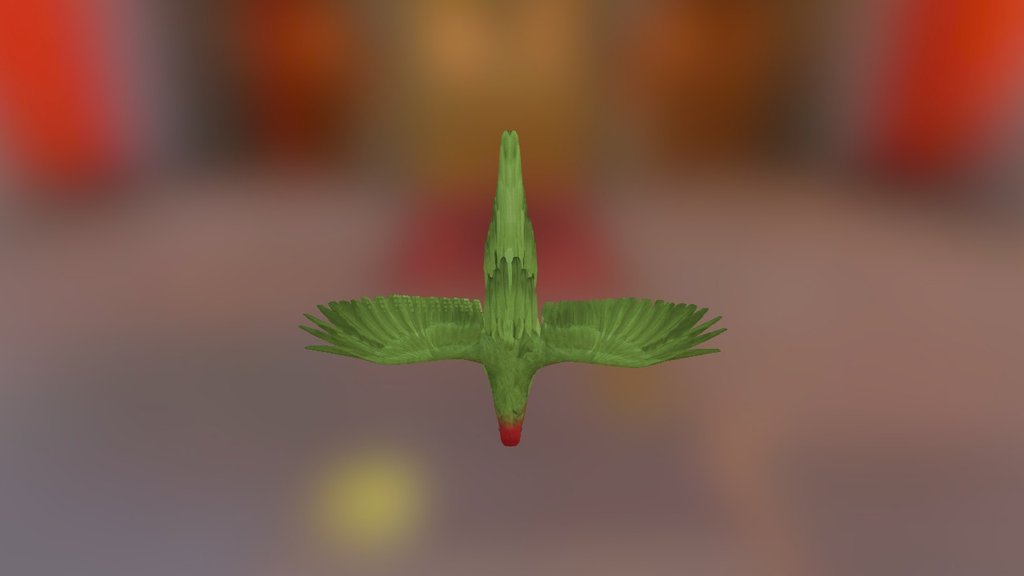 Animated Wild Parrot - 3D model by Creative Market (@creativemarket ...