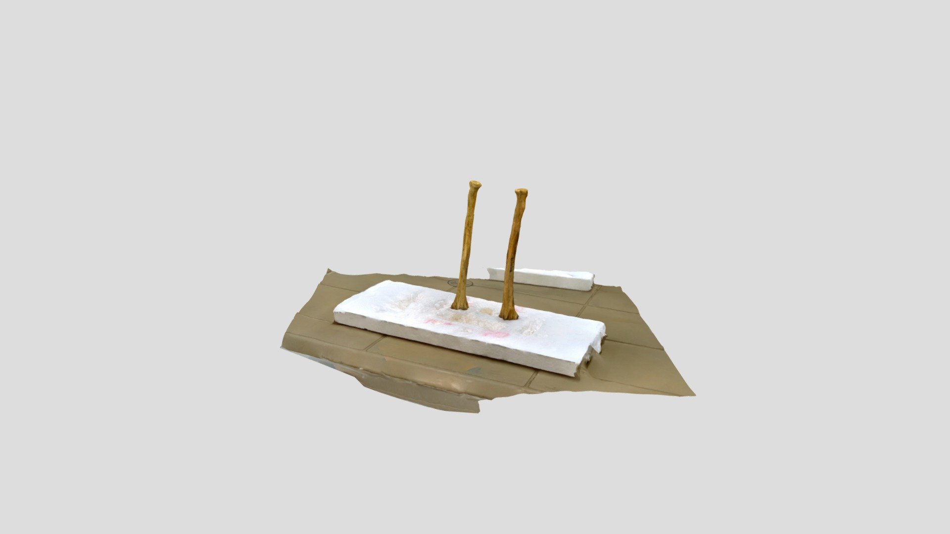 Radius - 3D model by prajjawalit [4657435] - Sketchfab