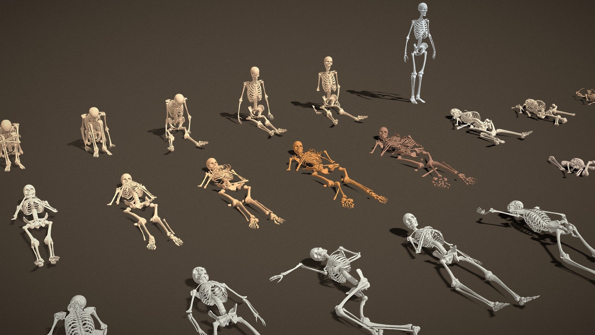 Props Pack - Human Skeleton - 3D model by PolyOne Studio (@polyone) [4658f79] - Sketchfab