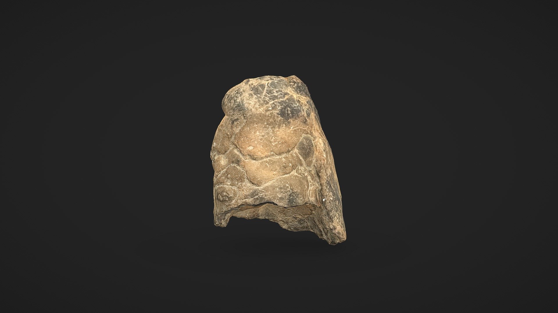 Coprólito (Fezes fossilizada) - 3D model by labpaleonto.ufac [465ec29 ...