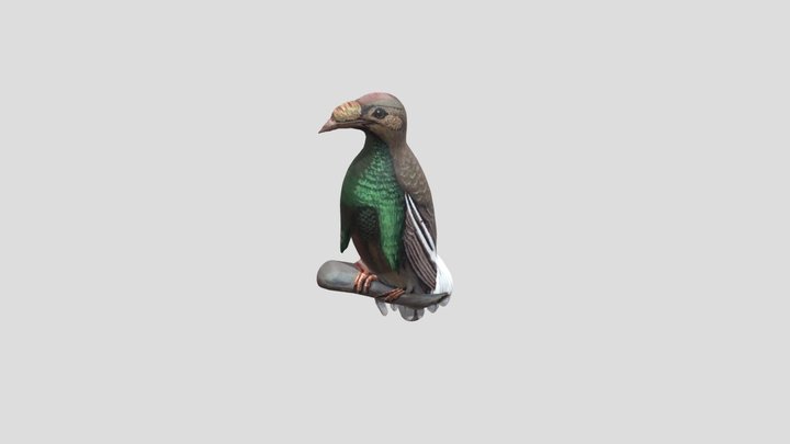 Burung 3D models - Sketchfab