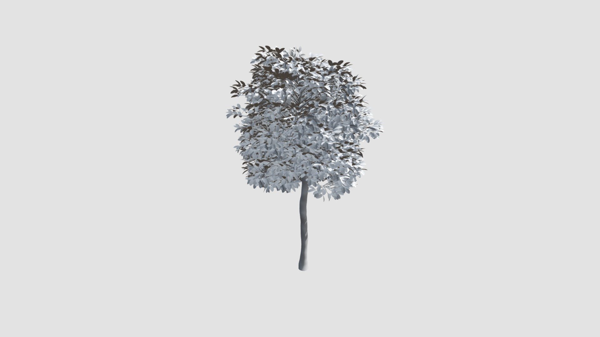 Plant for c4d - Buy Royalty Free 3D model by Evermotion [466f5dc ...