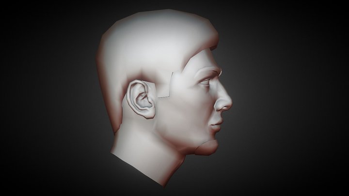 Typology 3D models - Sketchfab