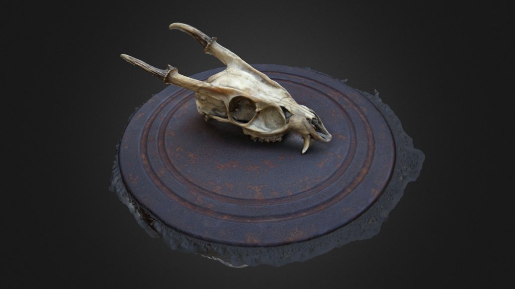 My Fav - A 3D model collection by 3d_ok - Sketchfab