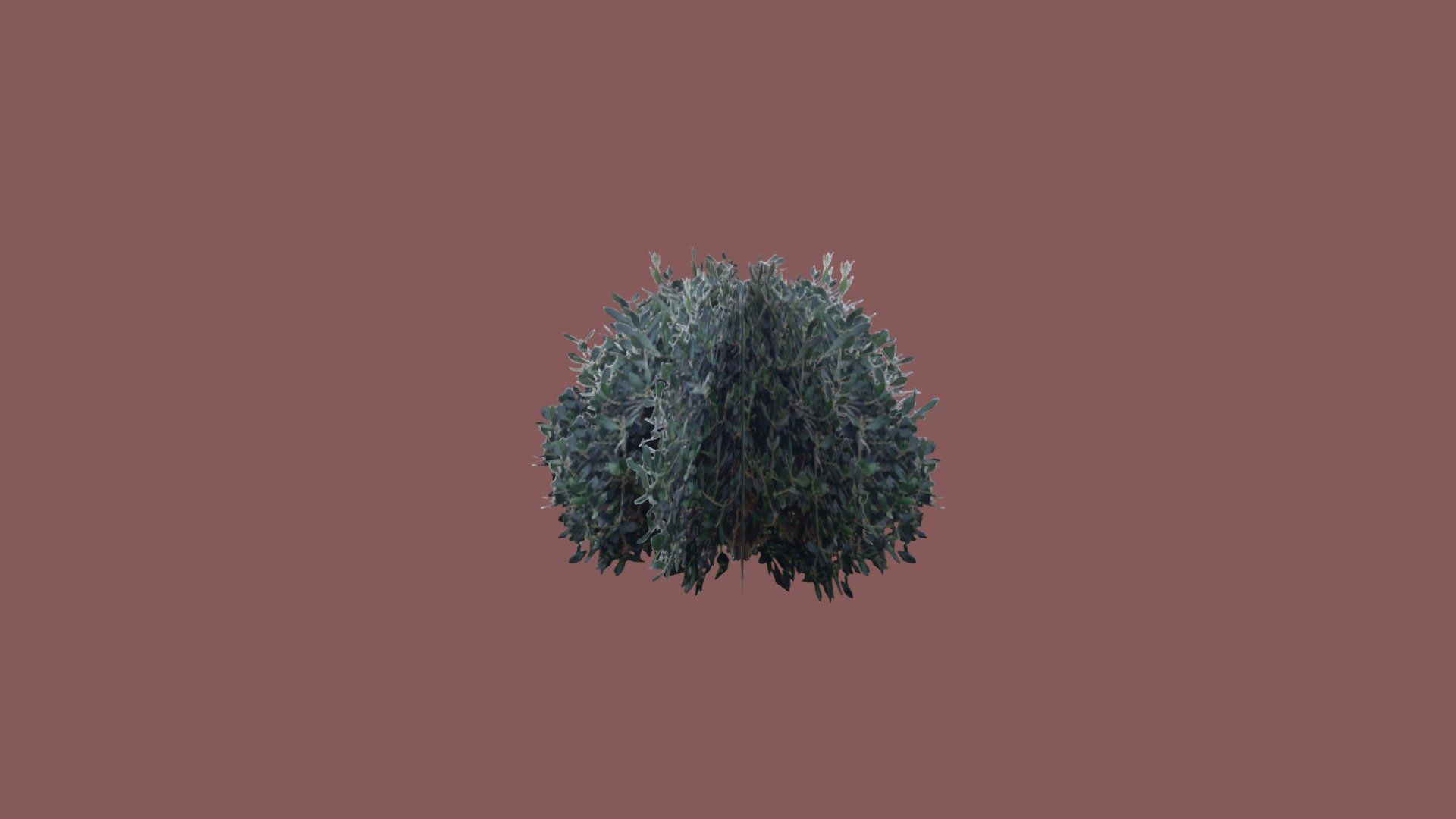 Psx Bush 2 - 3D model by Boo6463 [46802a2] - Sketchfab