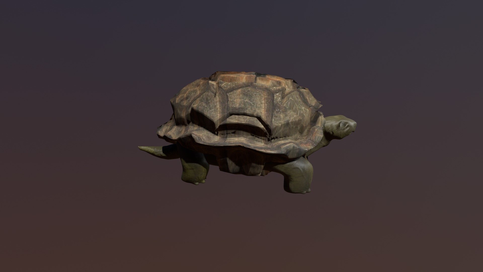 Tortoise Animated Walking Rigged - Buy Royalty Free 3D model by ...