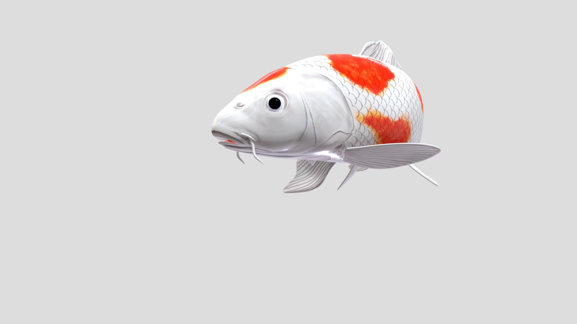 IKAN KOI - 3D model by willsmood [46860dd] - Sketchfab