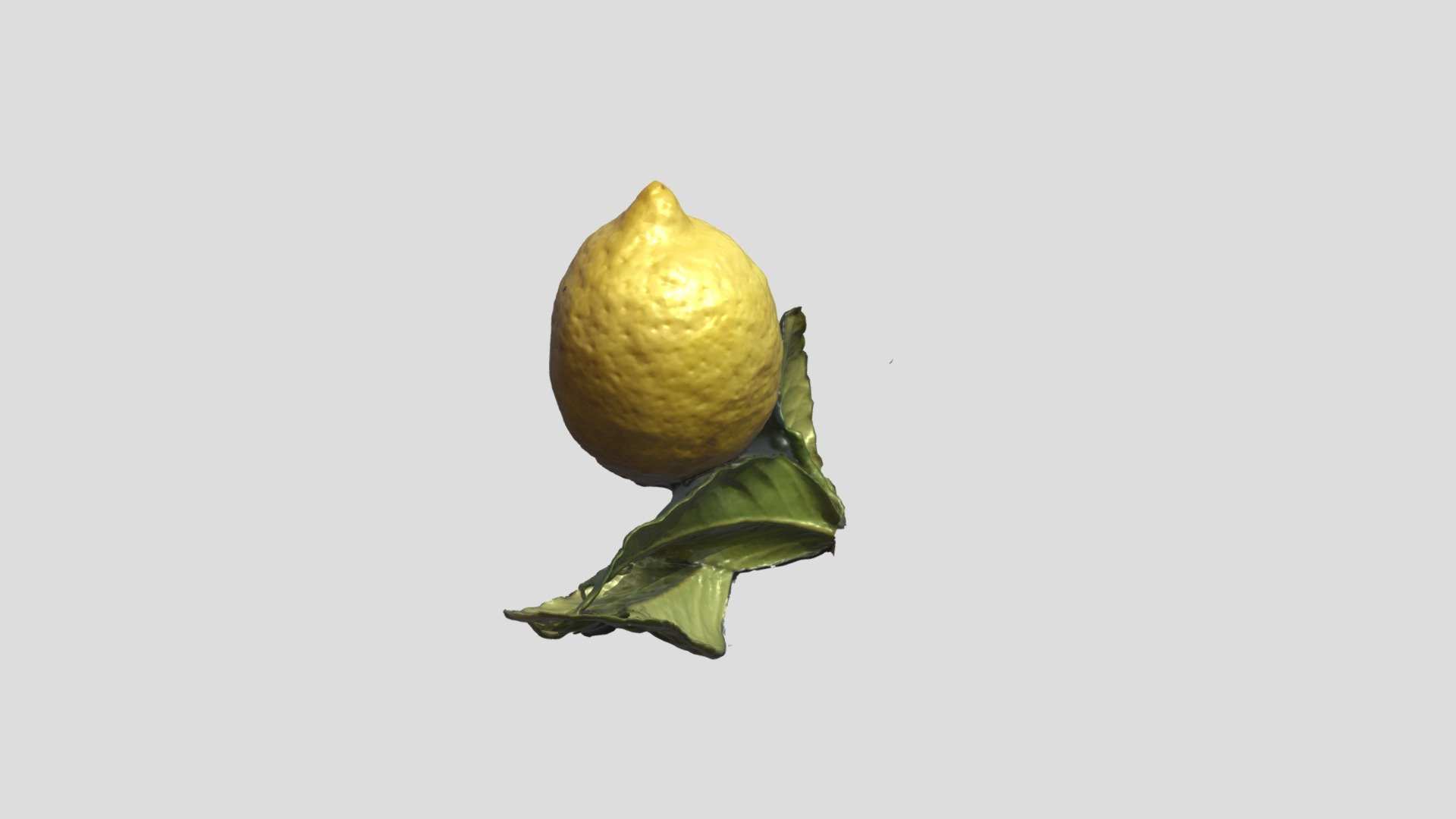 Lemon model - 3D model by geoffvardy [46876e6] - Sketchfab