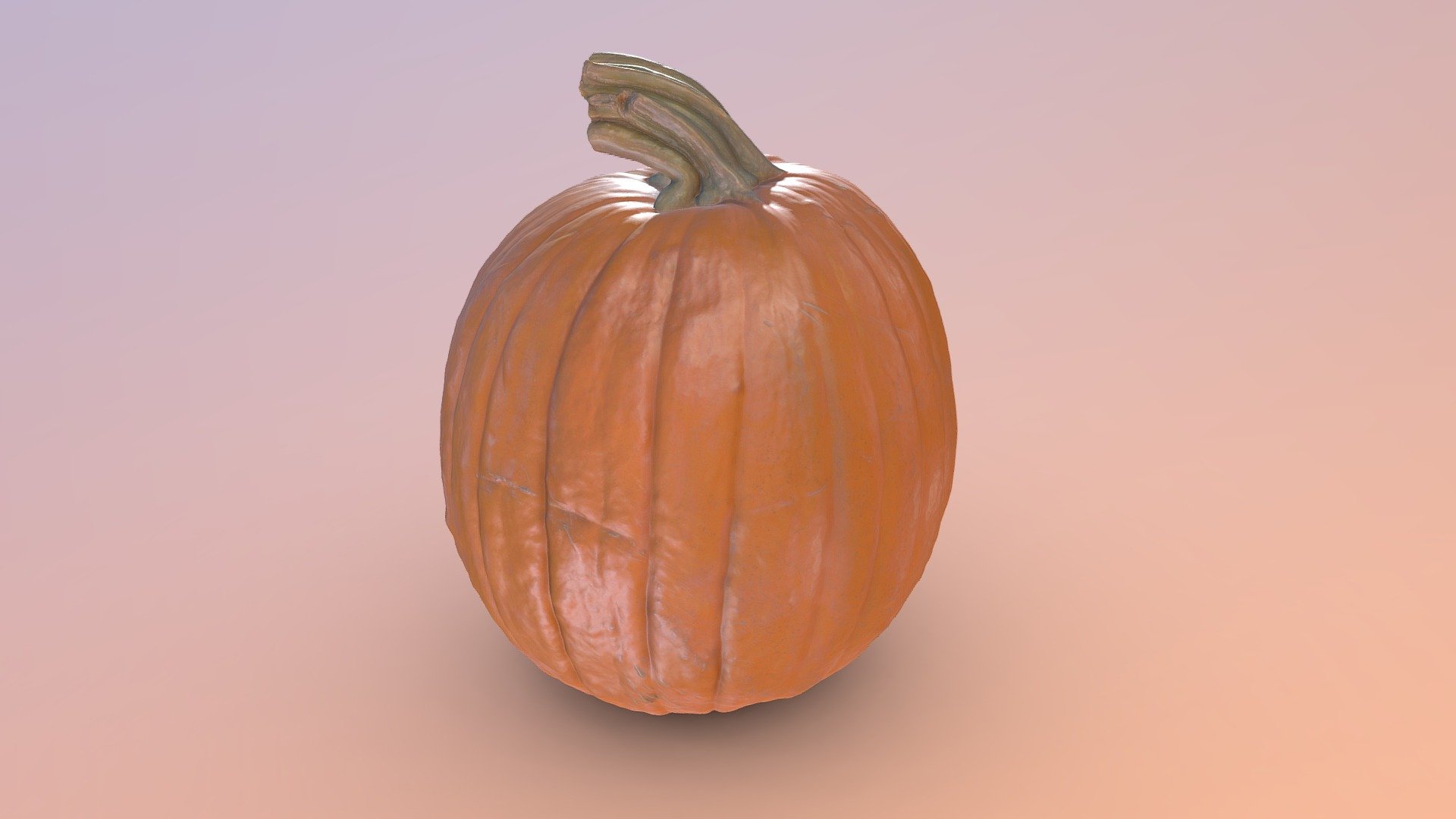 Large Pumpkin 3D Scan - Download Free 3D model by Arkify 3D (@arkify ...
