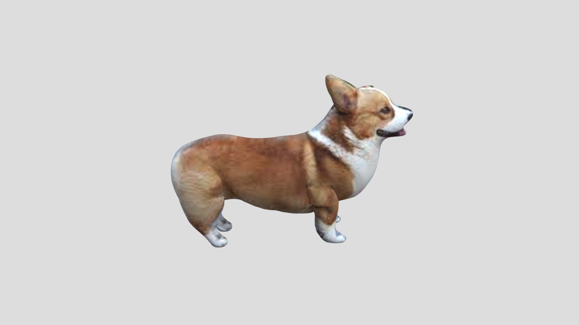 dog - Download Free 3D model by a950110 [4699836] - Sketchfab