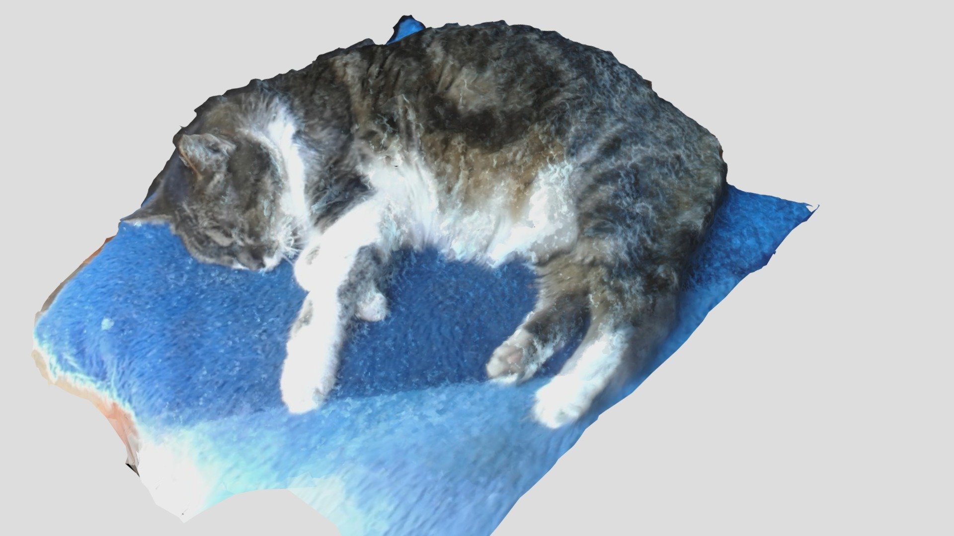 Yoko Cat - Download Free 3D model by marcelo.torres.vega [469defa ...