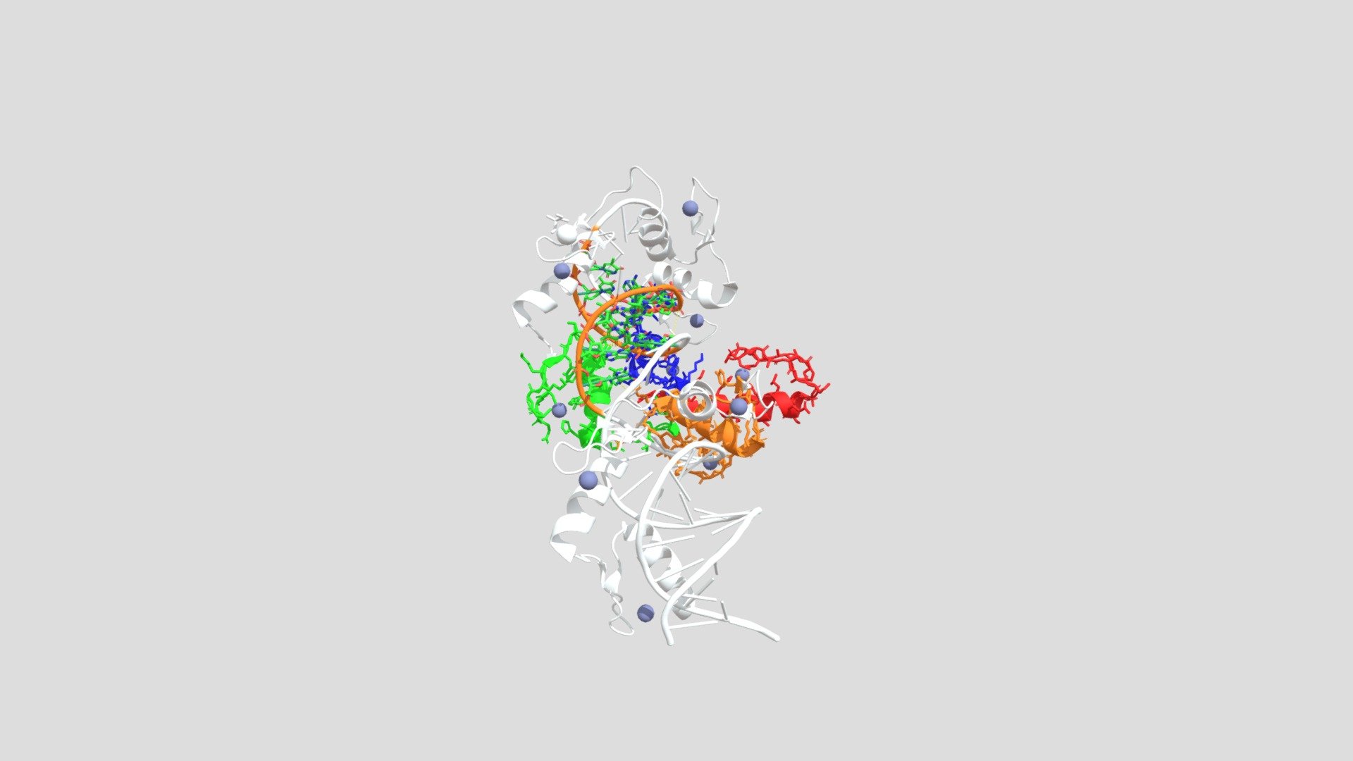 Structure of ZFP568 in mice - 3D model by ihunn [46ad04e] - Sketchfab