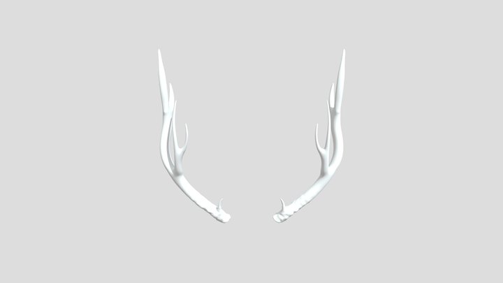 Antlers 3D models - Sketchfab