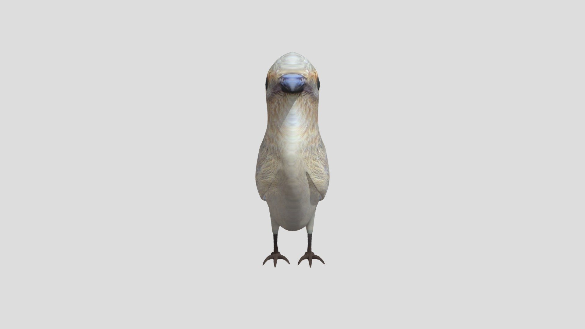 Pajaro4 - Download Free 3D model by marioc5198 [46b359f] - Sketchfab