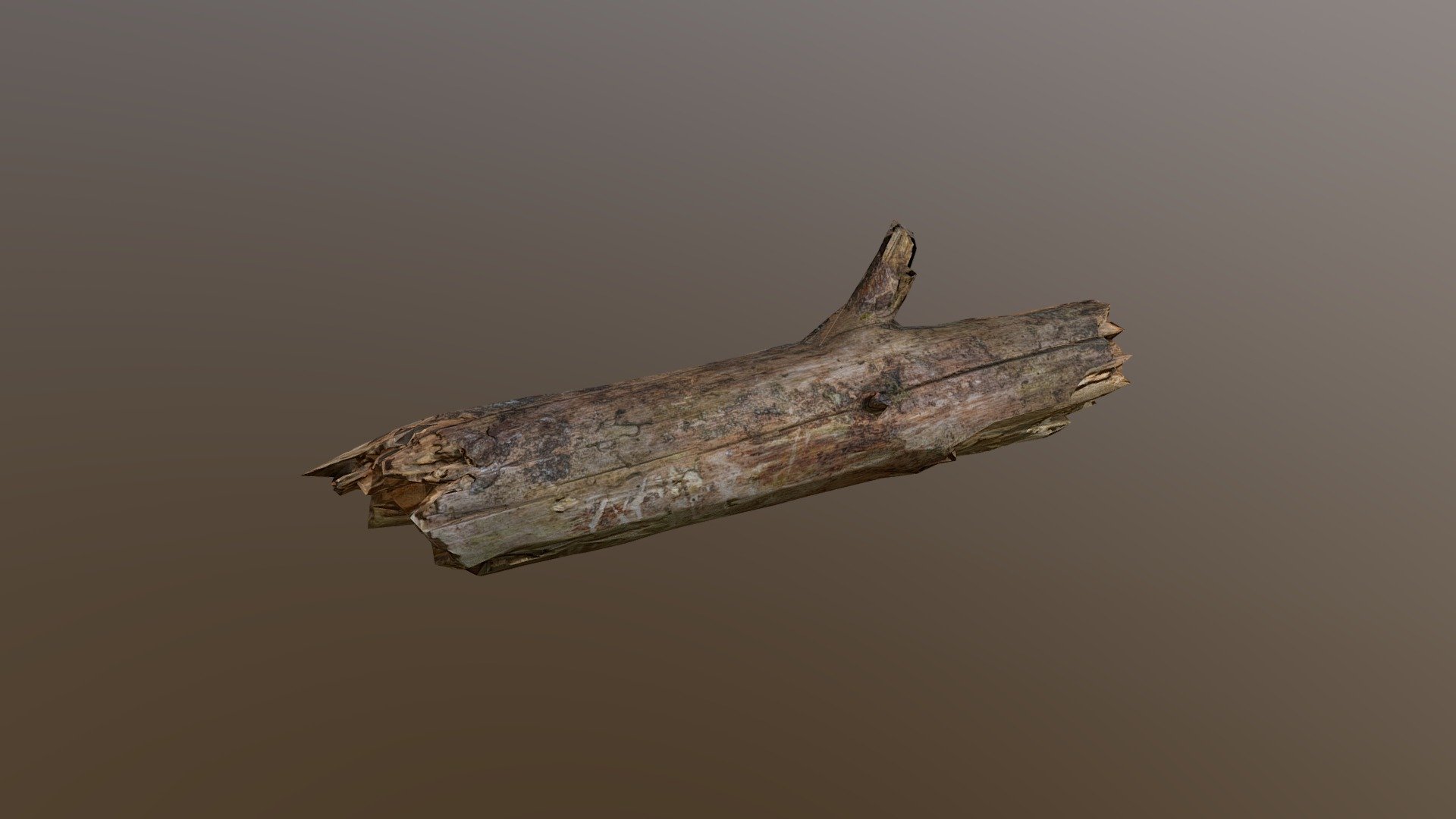 Small broken branch - 3D model by lseferynski (@seferynski) [46b8f1e ...