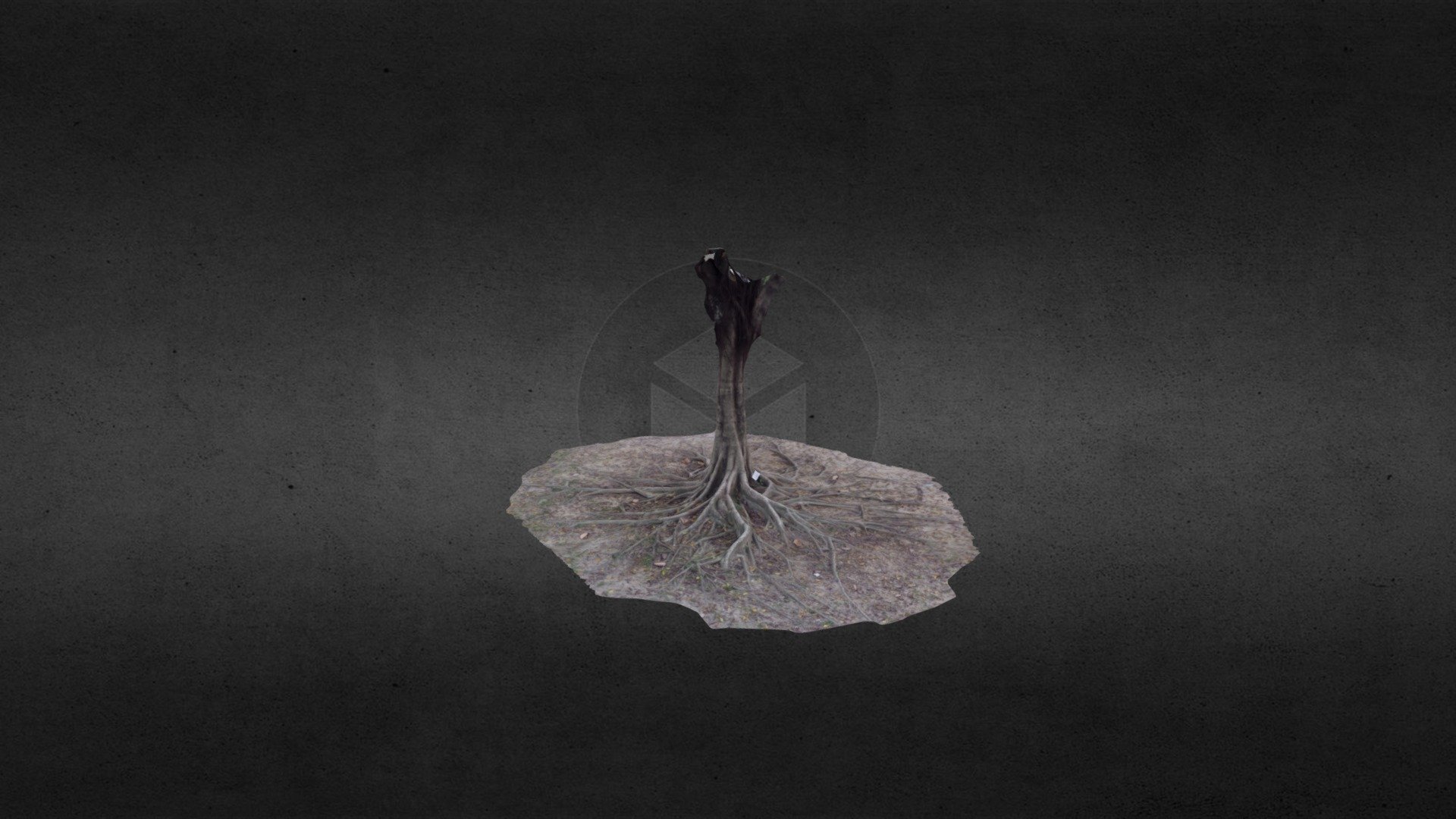 Tree - Buy Royalty Free 3D model by Nicolas (@3d-scan.hk) [46c36ea ...
