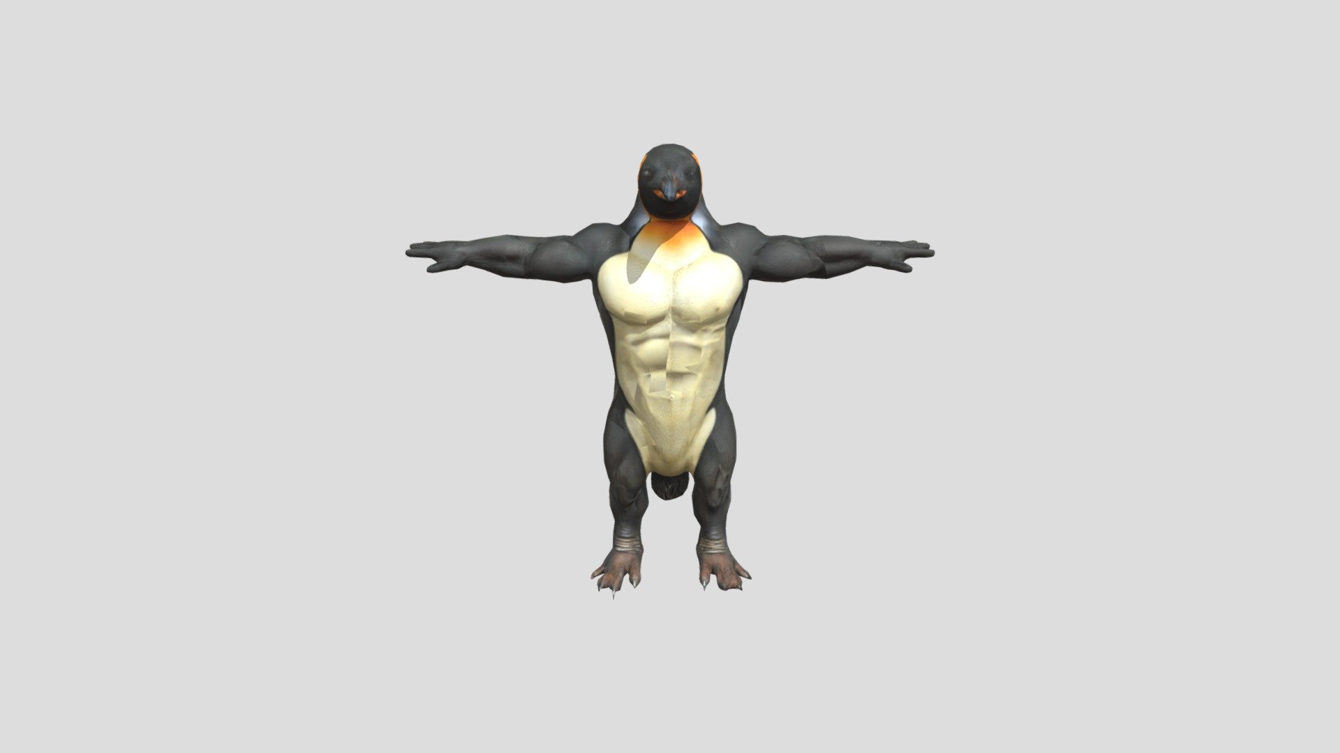 Muscle Penguin - 3D model by komjaur [46c5d4b] - Sketchfab