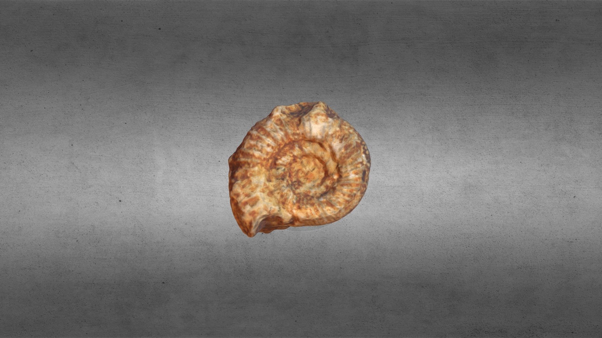 Ammonite fossil - 3D model by Thomas J. Keep (@thomas.j.keep) [46cb00b ...