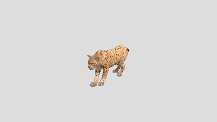 Lynx 3D models - Sketchfab