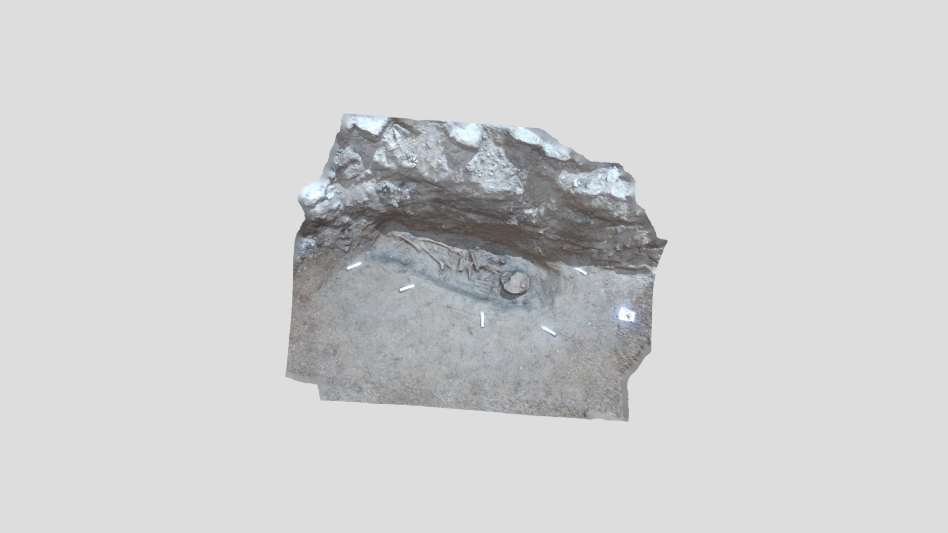Halen (Belgium), Markt, skeleton 25 - 3D model by Condor Archaeological ...