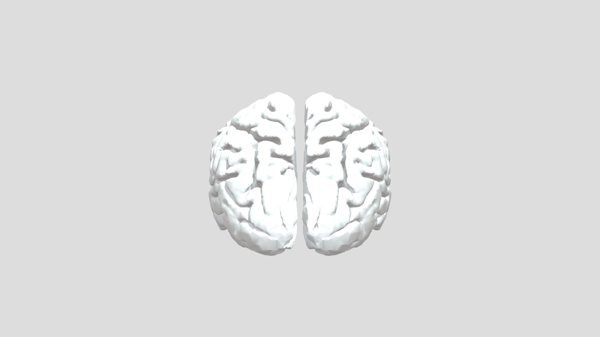 Brain - 3D model by elorx [46df59e] - Sketchfab