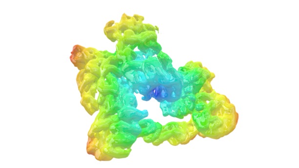 EMDB › EMD-3315 - 3D model by Interactive 3D Data (@proteinsimulation ...