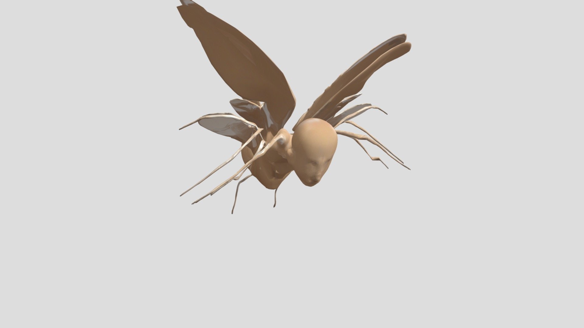 Fly-Baby - Download Free 3D model by defeste2 [46f2553] - Sketchfab